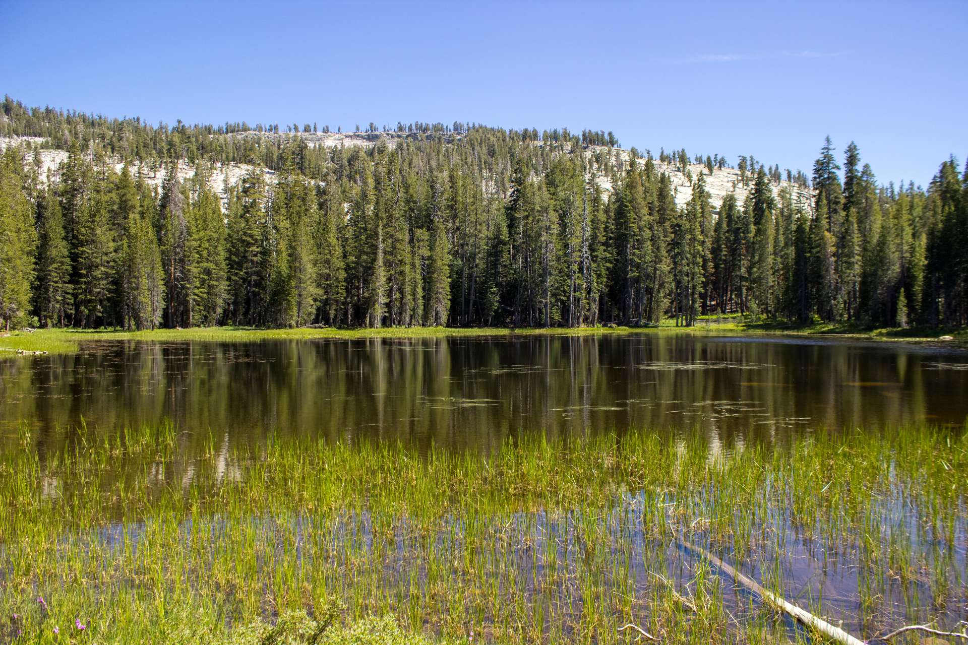 Where Is the Best Place to Stay in Yosemite? | Incredible Adventures