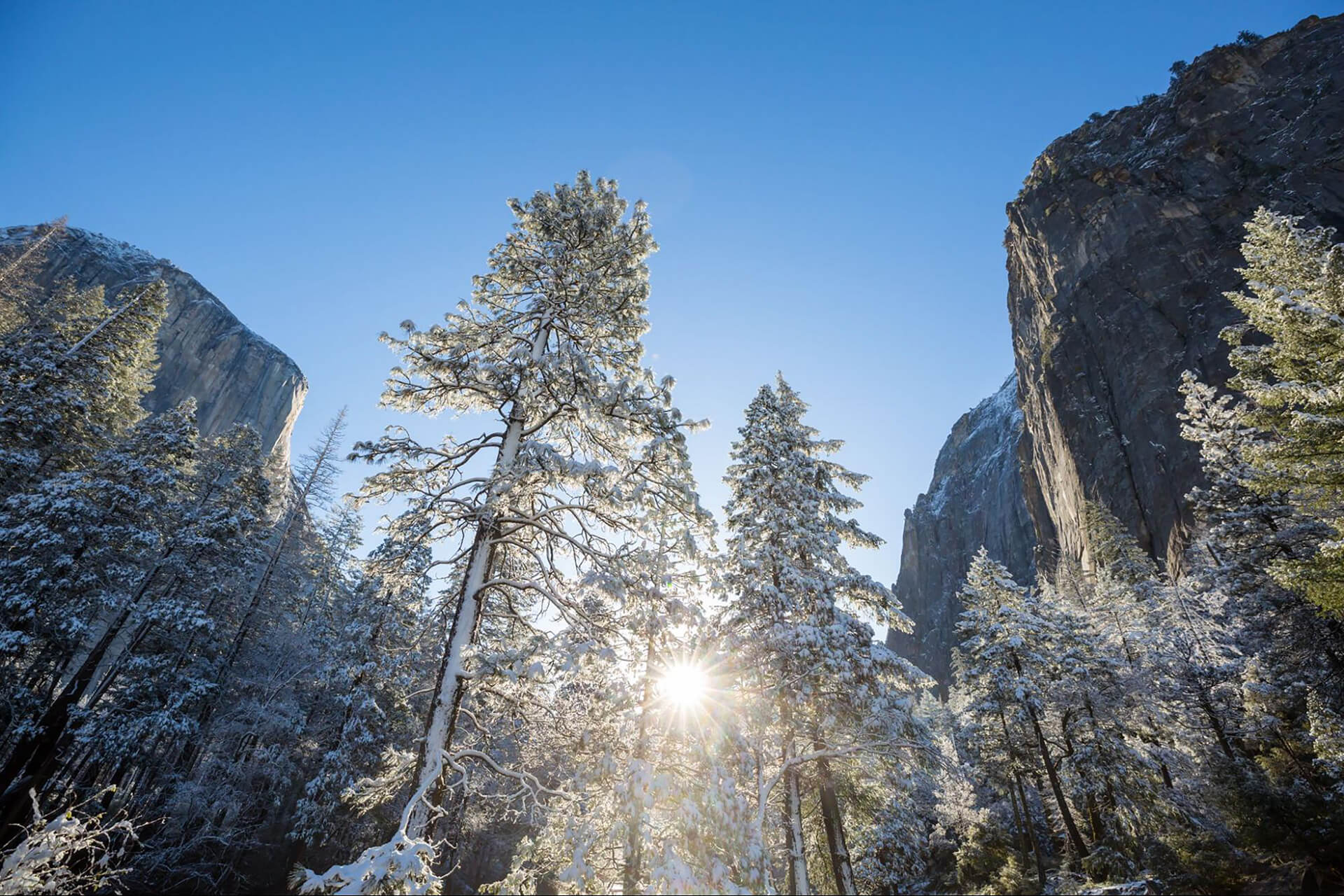 Best Times to Visit Yosemite: Seasonal Highlights & Tips | Incredible ...